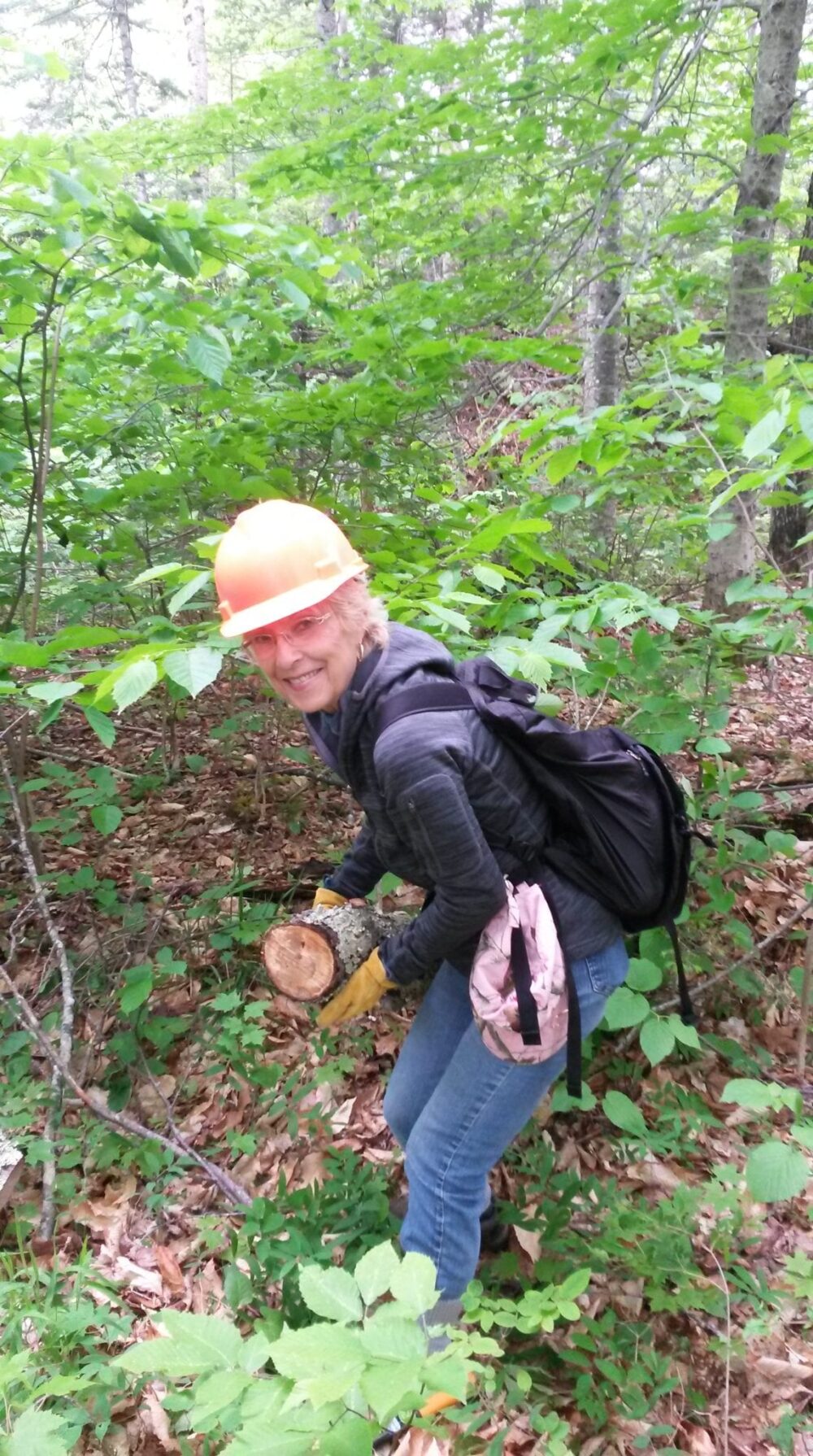 June 11th Workday Update | High Peaks Alliance