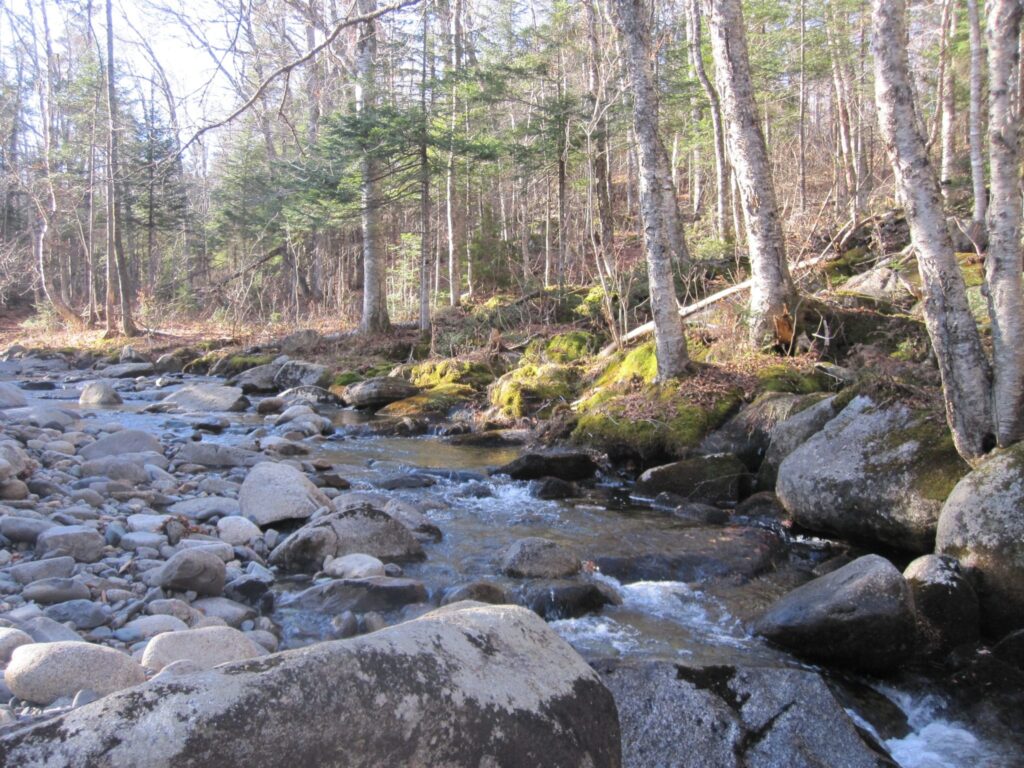 Volunteers Needed Fly Rod Crosby Trail Clean-Up | High Peaks Alliance